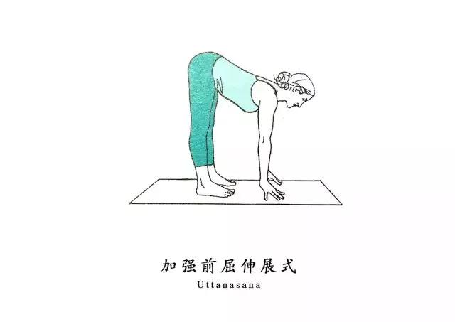 前伸展式前屈伸展式猫伸展式大山谷图库
